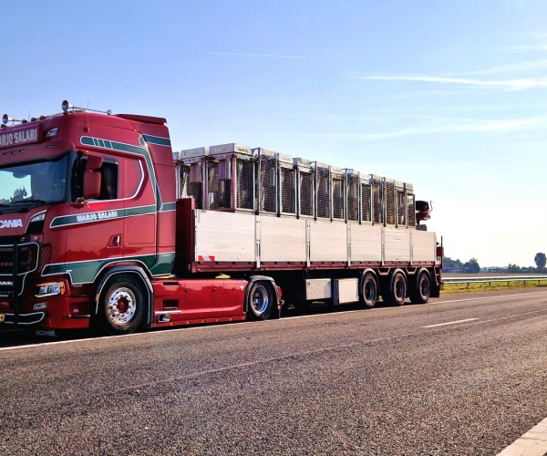 Home - MST Logistics